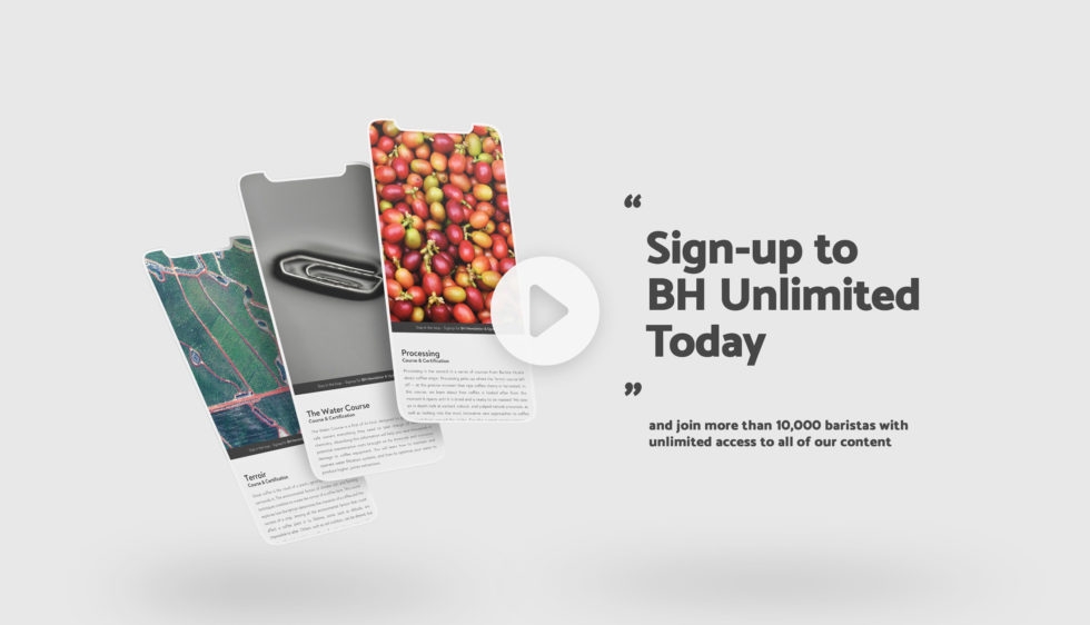 Understanding the Detailed Process of Grinding Coffee Beans: A Barista ...